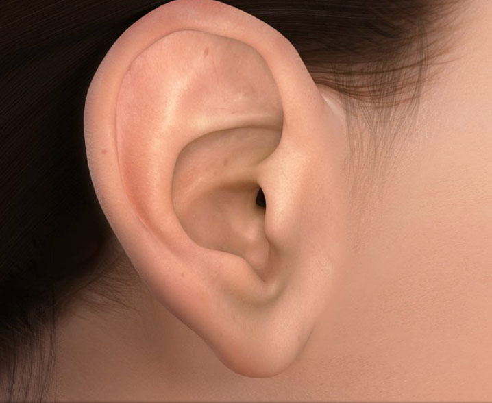 Ear Injury Treatment Facial Trauma